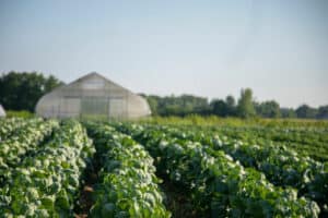 About the Warner Farm Family | Warner Farm, Sunderland MA